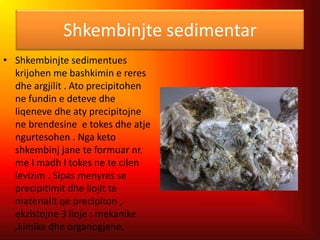 Toka dhe brendesia e saj