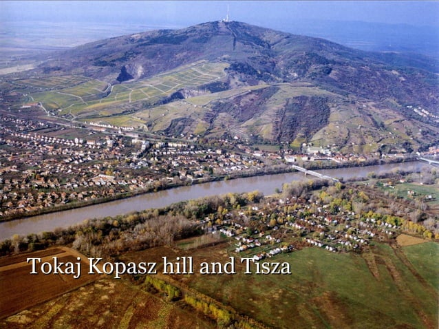 Tokaj hegyalja | PPT