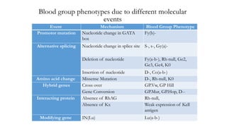 Blood Group Genotyping. By Dr. RAFIQ AHMAD pptx | PPTX