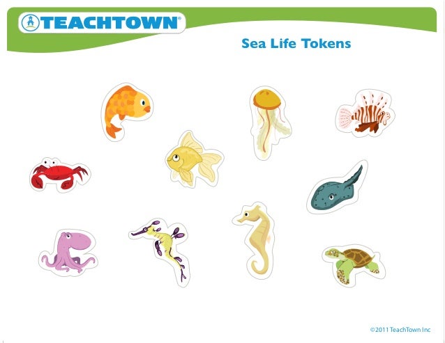 Tokenboard all teach_town