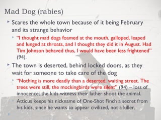 What Does The Mad Dog Symbolize In To Kill A Mockingbird