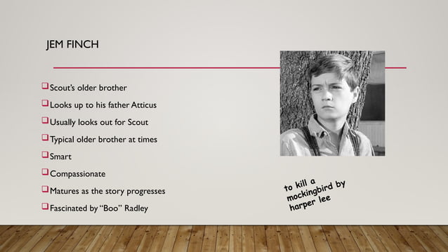 To kill a mockingbird characters (1).pptx