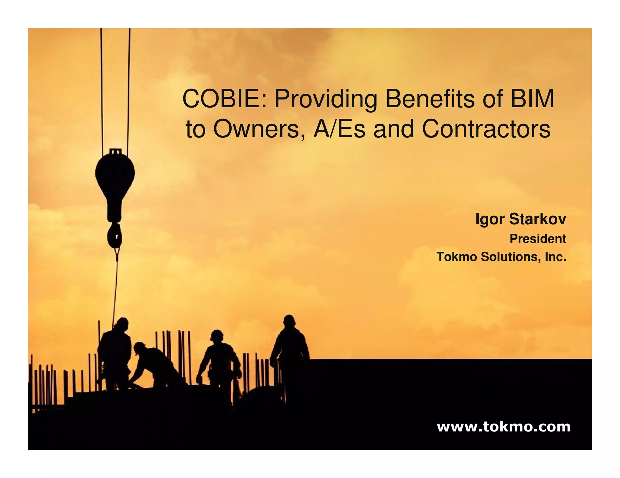 COBIE Overview | PDF