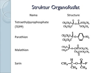 Toksikologi pestisida 2 | PPT