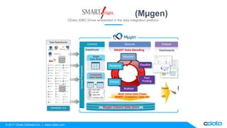 CData Day Tokyo 2017 Opening Talk | PPTX