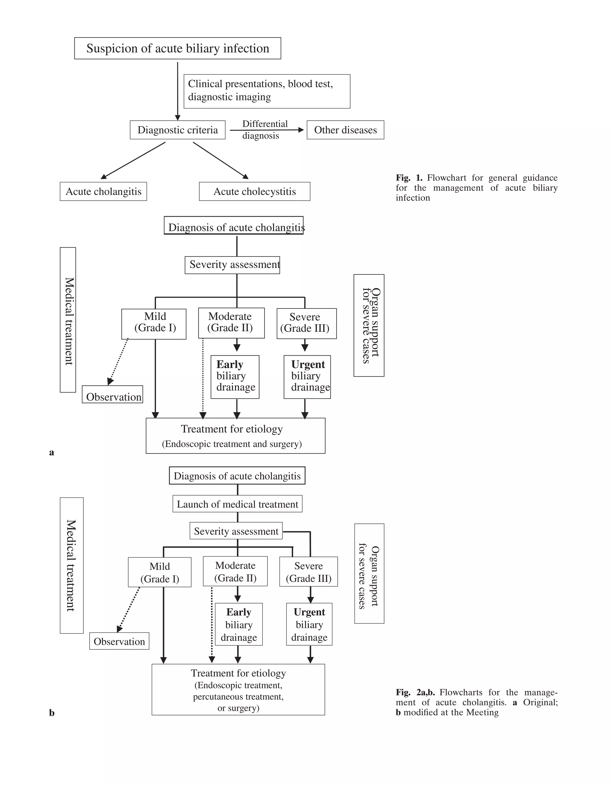 Tokyo guidelines for cholangitis and cholecystitis | PDF