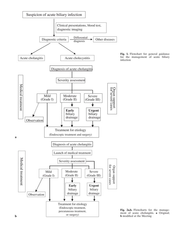Tokyo guidelines for cholangitis and cholecystitis