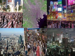Tokyo megalopolis | PPTX