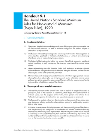 The United Nations Standard Minimum Rules for Non-Custodial Measures | PDF