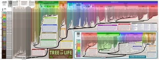 Tree of Life poster | PDF | Gardening | Home & Garden