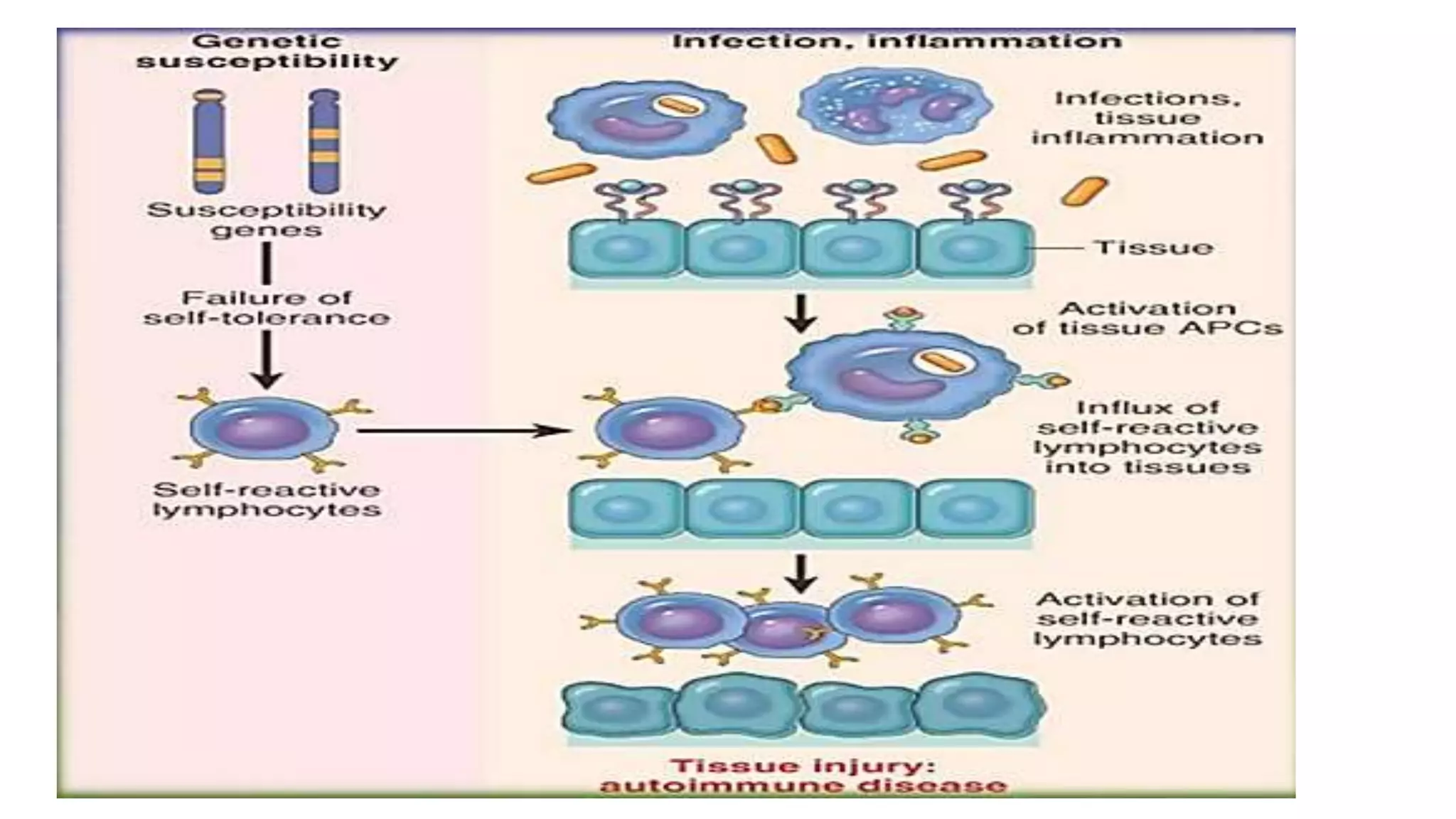 Tolerance of immune system.pptx
