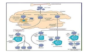 Tolerance of immune system.pptx