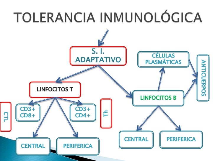 Tolerancia Inmunológica
