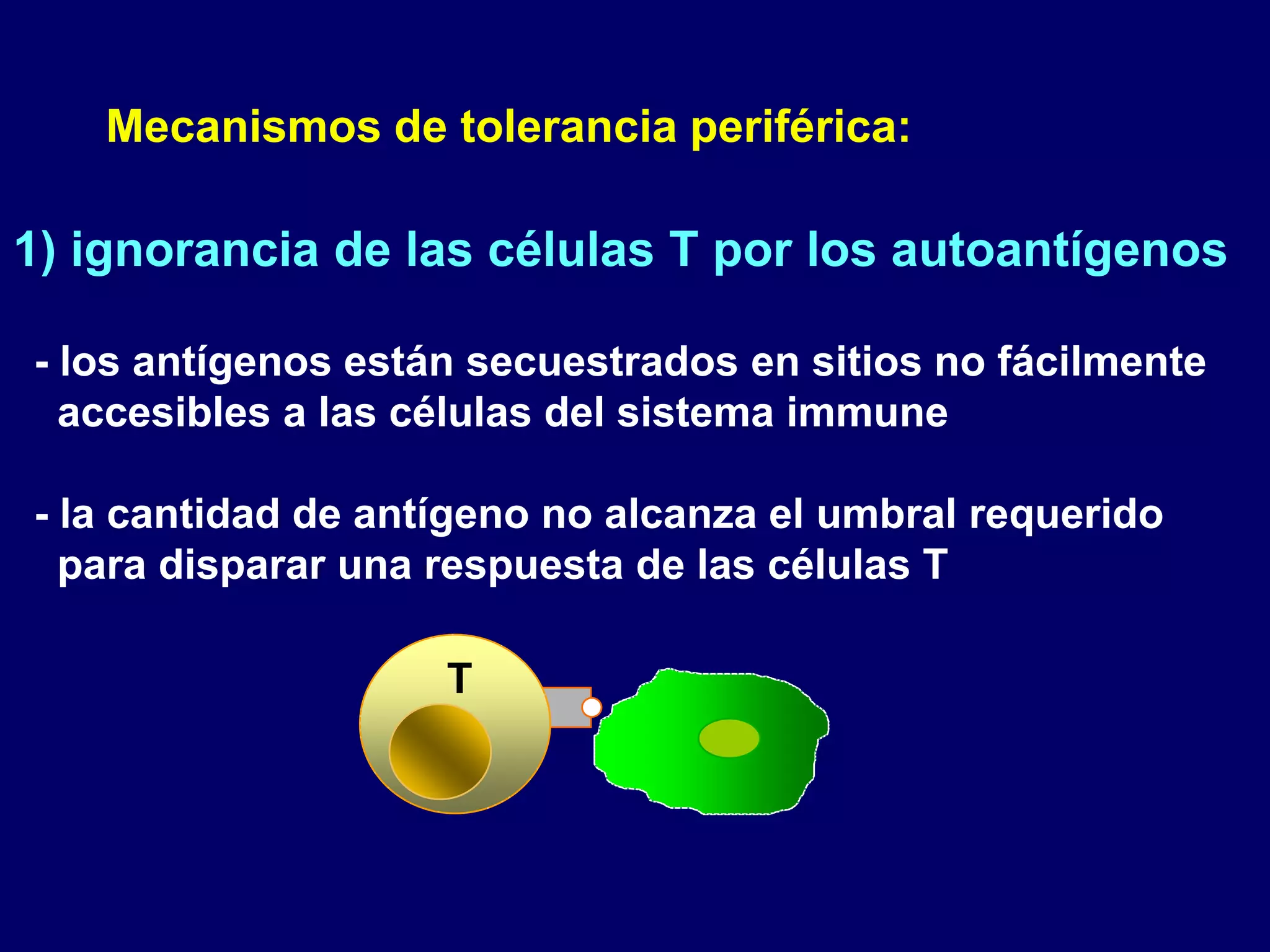 Tolerancia y autoinmunidad | PPTX