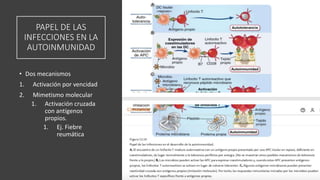 Tolerancia y autoinmunidad | PPTX