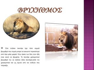 Το λιοντάρι | PPT