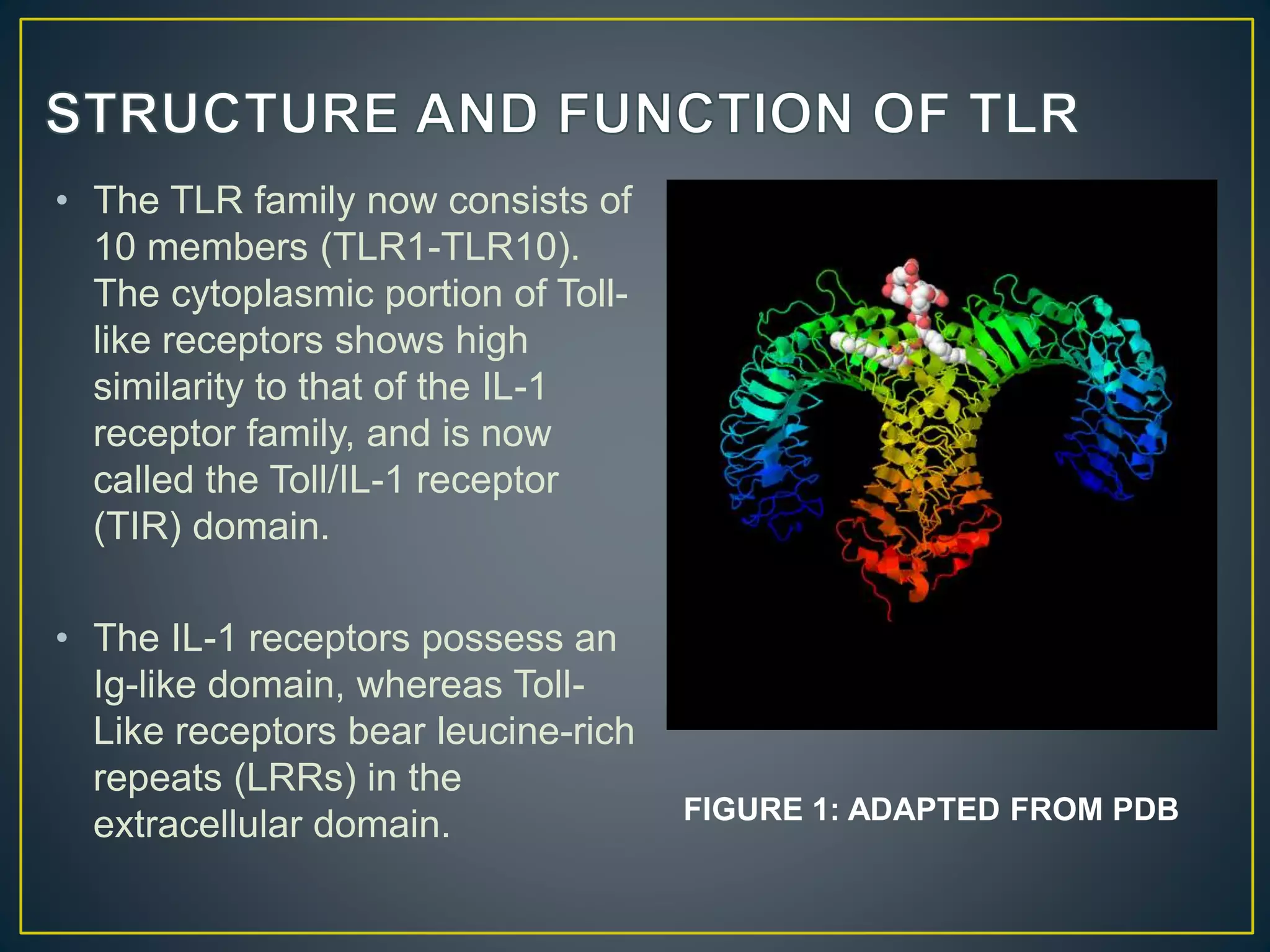 Toll-like receptors | PPTX
