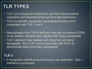 Toll-like receptors | PPTX
