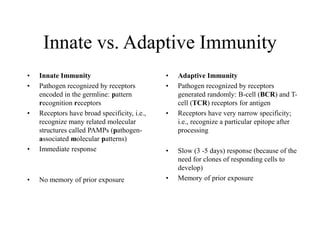 Receptores Toll Like na resposta imune inata | PPT