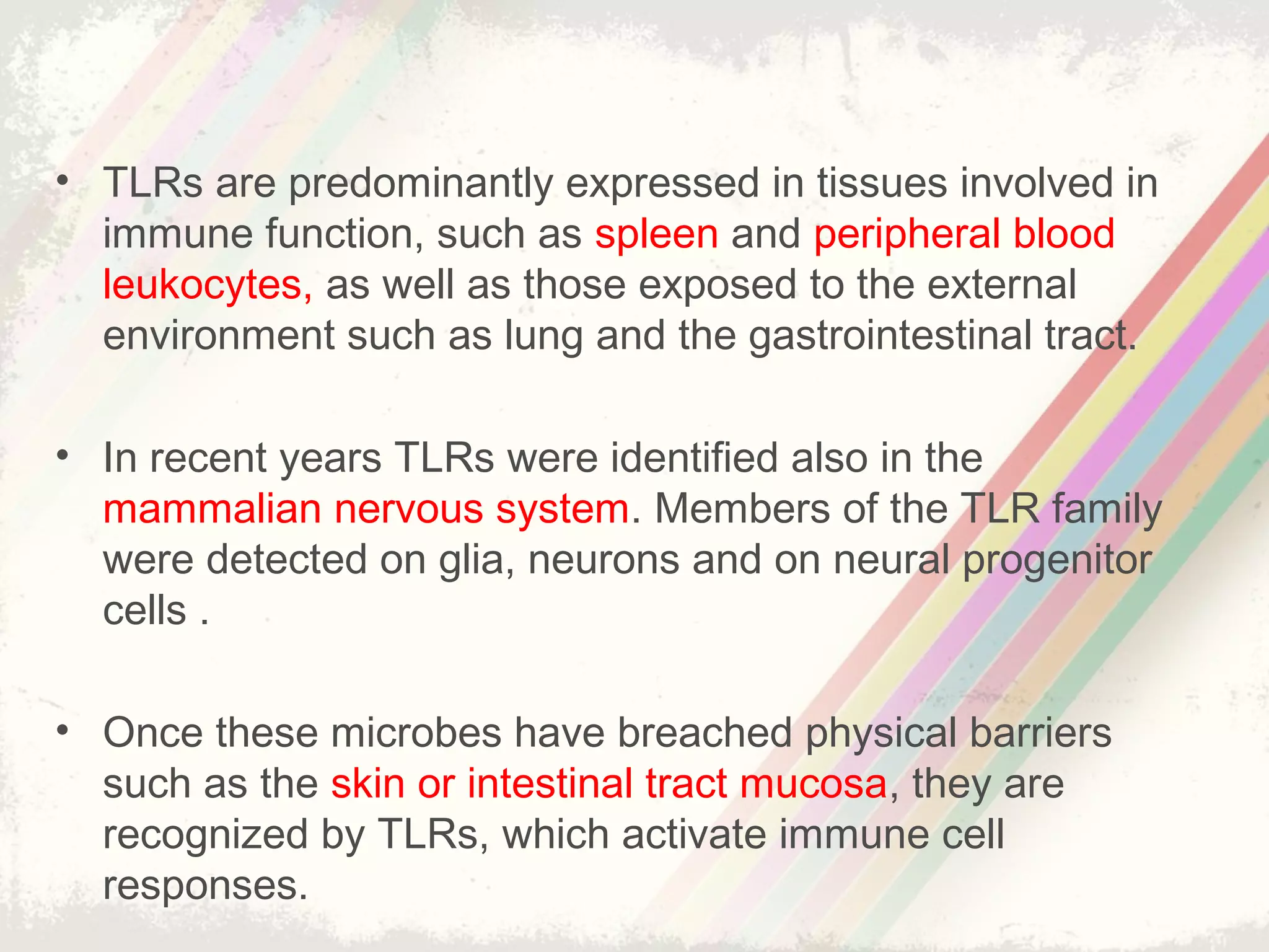 Tol like receptors | PPT