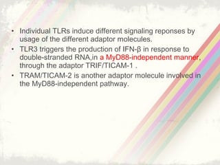 Tol like receptors | PPT