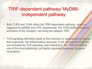 Tol like receptors | PPT