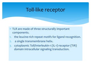 toll_like receptor.pptx