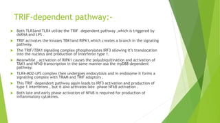 Toll like receptor and MHC | PPTX | Genetics | Science