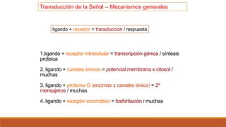 Toll like receptors | PPTX