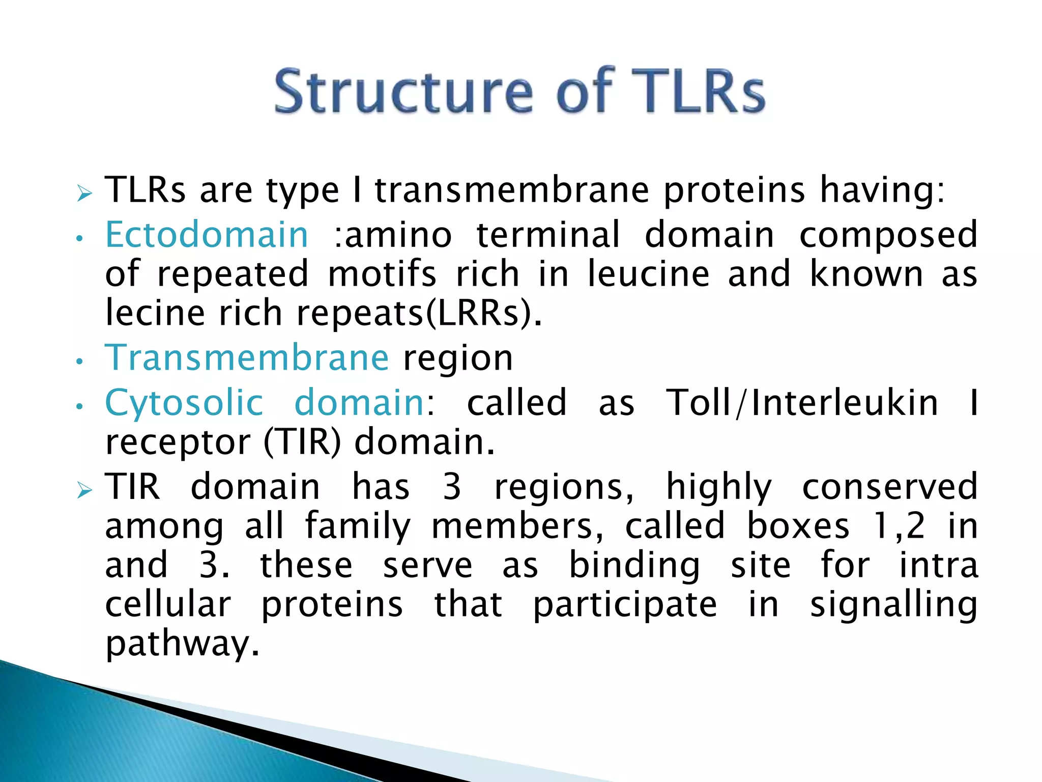 Toll like receptors | PPTX