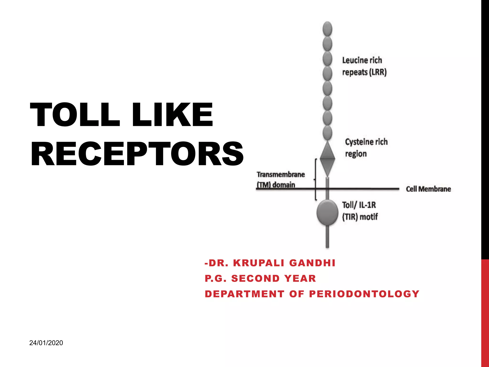 Toll like receptors in periodontology | PPTX