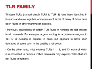 Toll like receptors in periodontology | PPTX