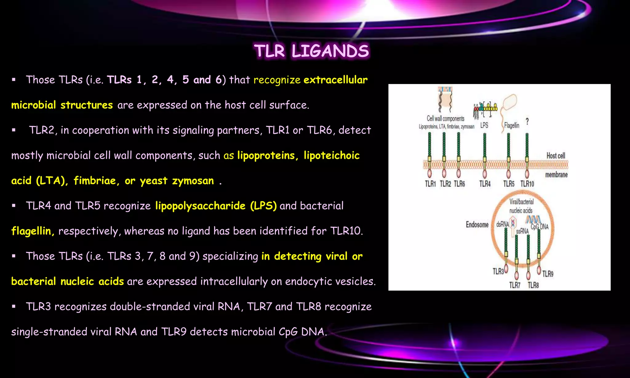 Toll like receptors | PPT