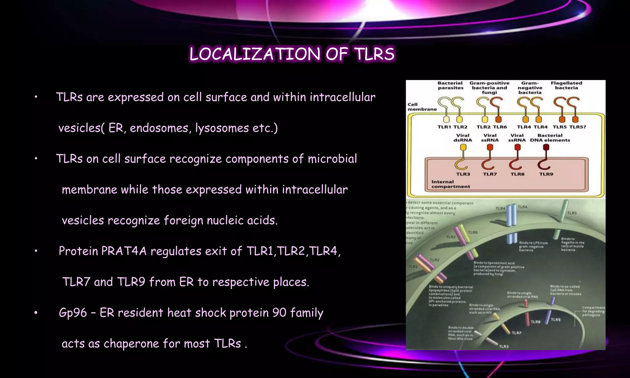 Toll like receptors | PPT