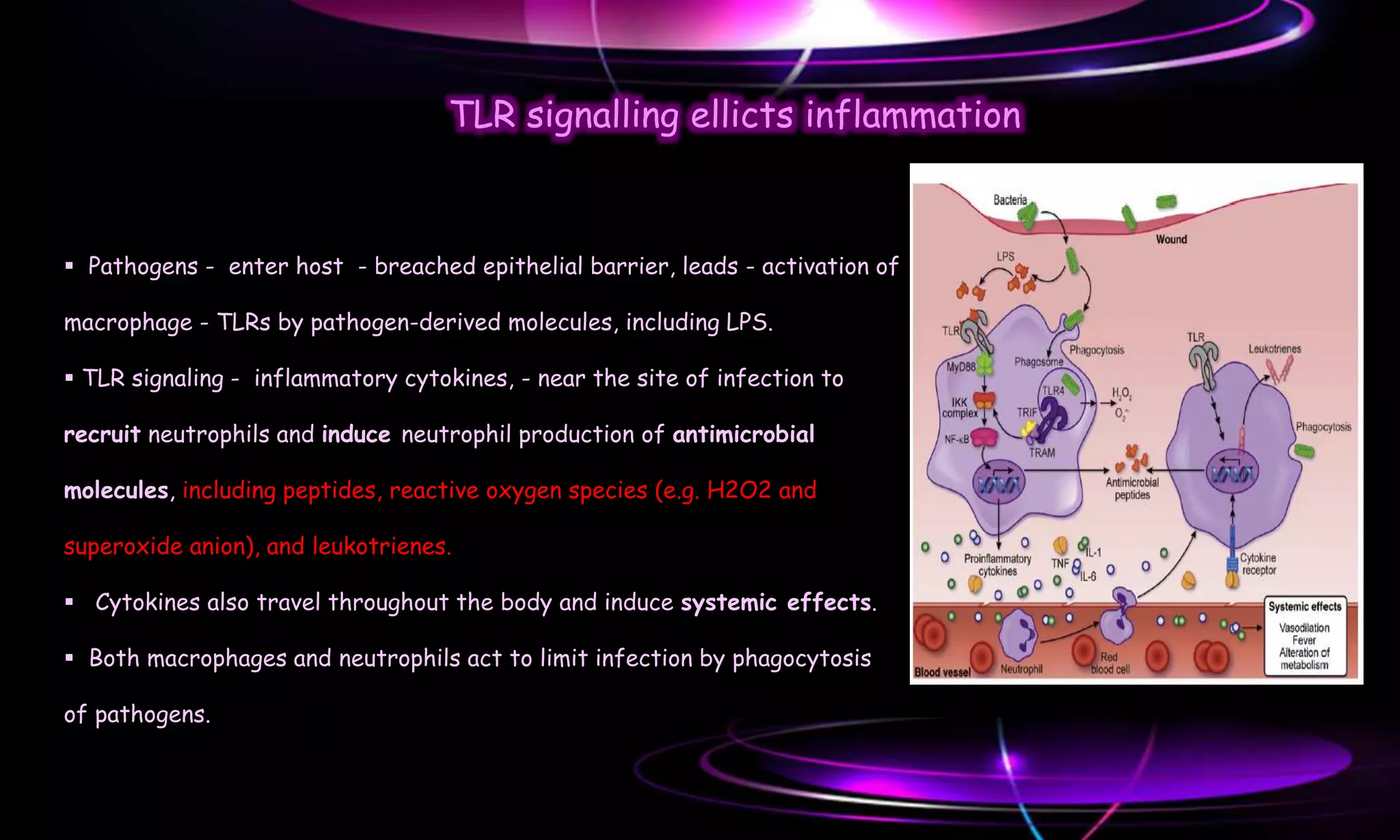 Toll like receptors | PPT