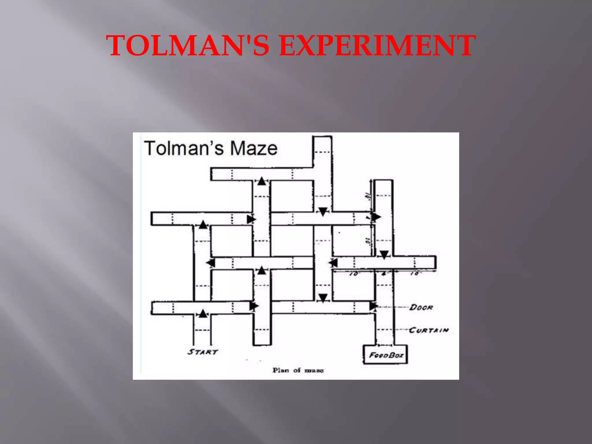 Tolman theory | PPTX