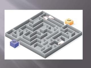 Tolman theory | PPTX