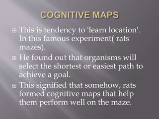 Maze Edward Map C Tolman Cogntive