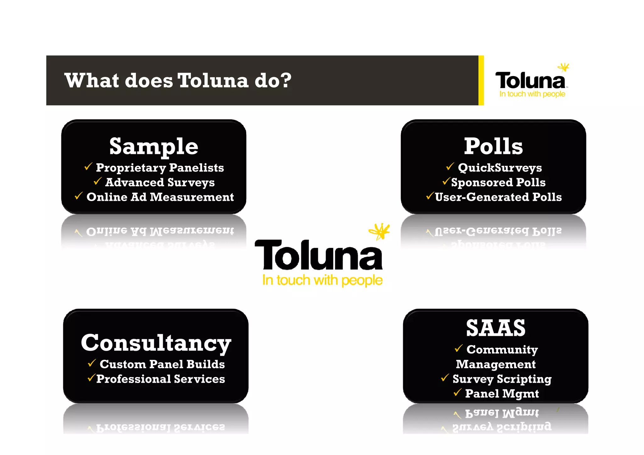 Toluna Overview | PDF