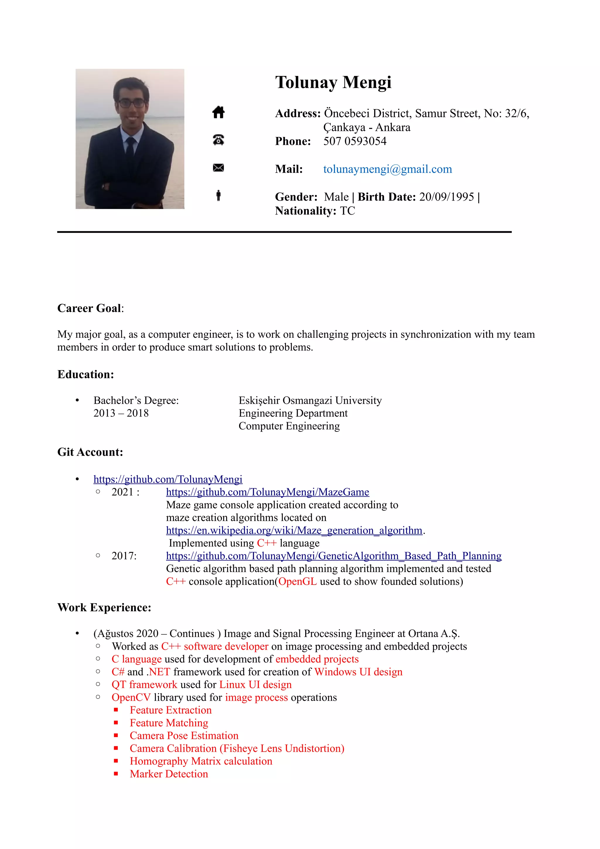 Tolunay Mengi CV - English - 07.07.2022.pdf