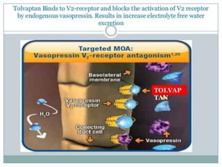 Tolvaptan | PPTX