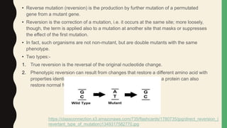 Types of Mutation :- Frameshift, Reversion and Spontaneous | PPTX