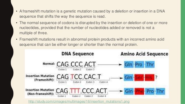 Types of Mutation :- Frameshift, Reversion and Spontaneous