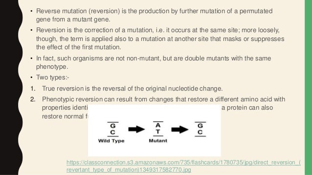 Types of Mutation :- Frameshift, Reversion and Spontaneous