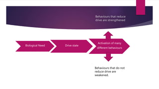 Theories of Motivation | PPTX | Science