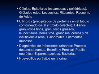 Toma de-muestra-orina-heces-etc | PPT