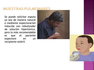 Toma y-procesamientos-de-muestras-clínicas para el diagnostico de ...