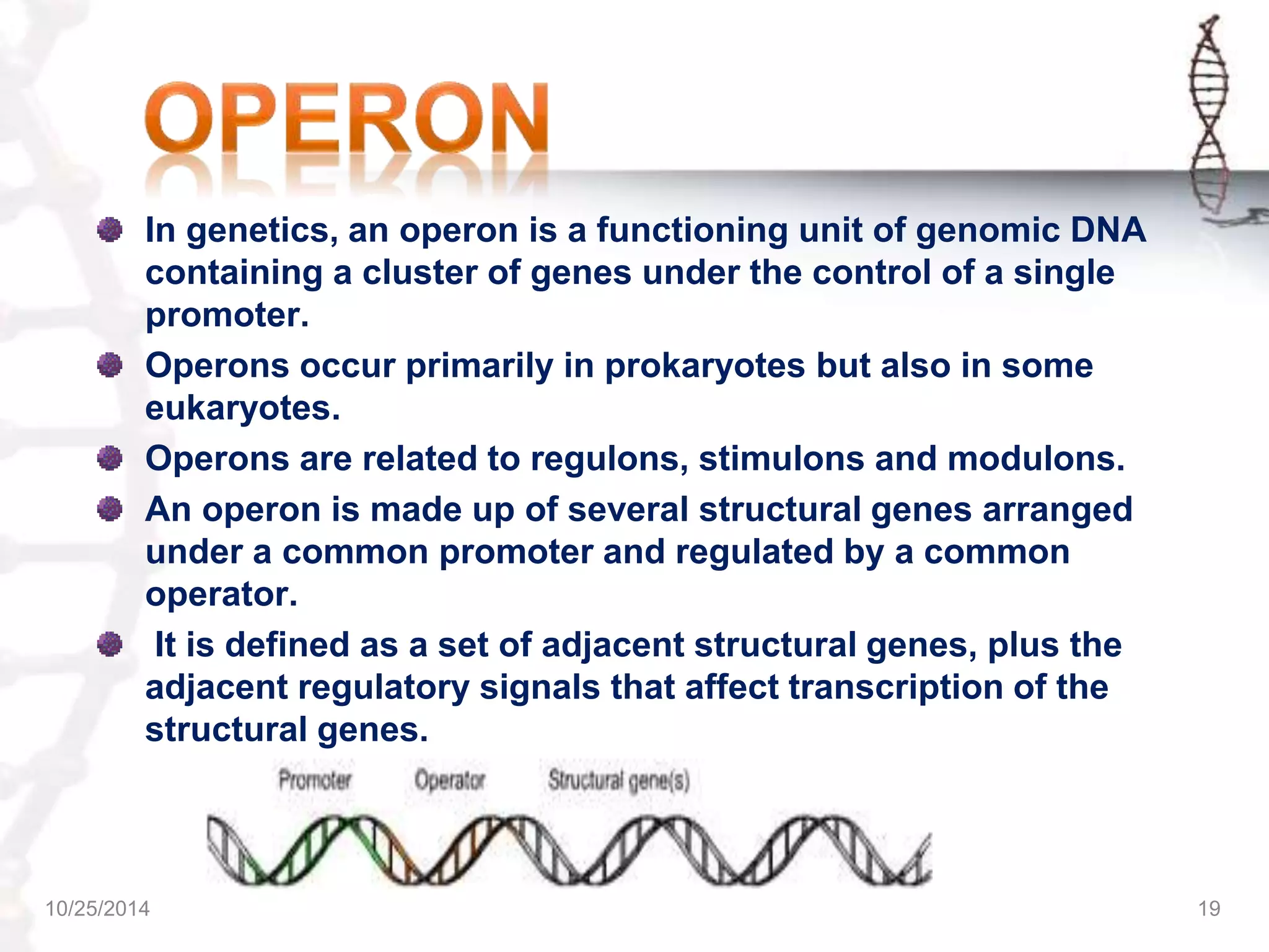 REGULATION OF GENE EXPRESSION IN PROKARYOTES & EUKARYOTES | PPTX