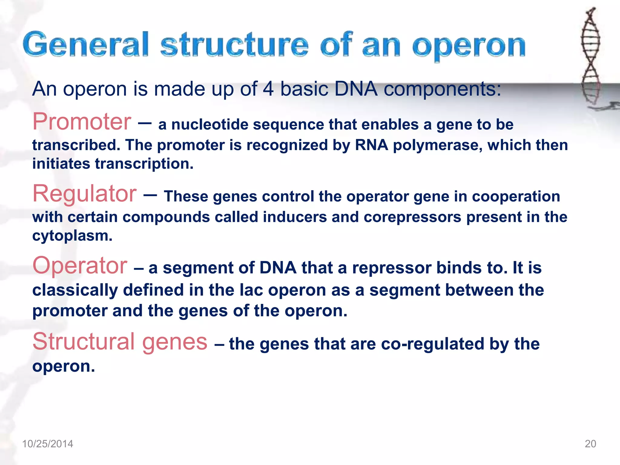 REGULATION OF GENE EXPRESSION IN PROKARYOTES & EUKARYOTES | PPTX