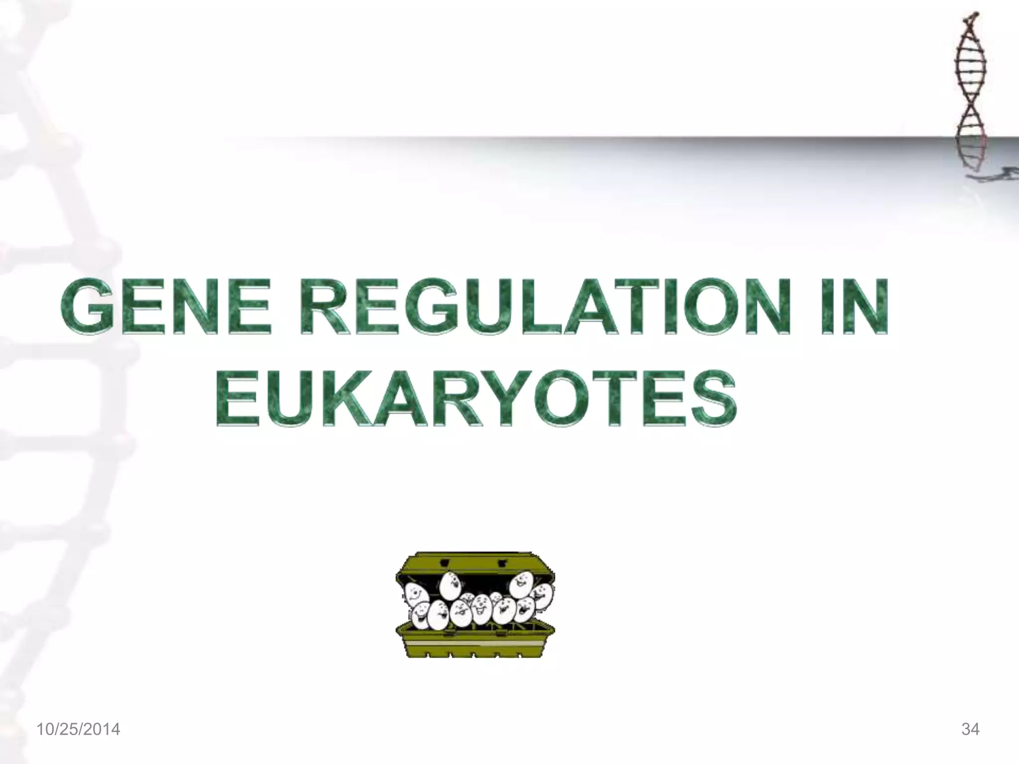 REGULATION OF GENE EXPRESSION IN PROKARYOTES & EUKARYOTES | PPTX